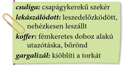 Egy kis szómagyrázat